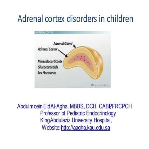 Adrenogenital syndrome | PDF