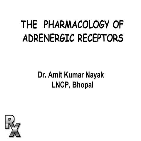 How to prepare a project report in IEEE format | PDF