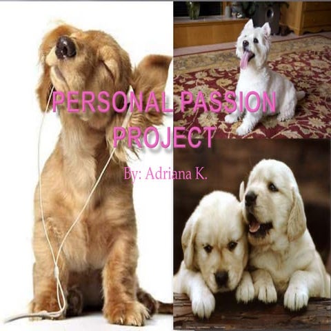 Adriana personal passion project | PPT