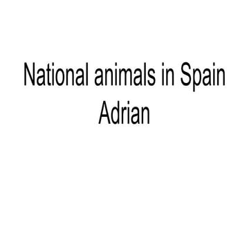Animals | PPTX
