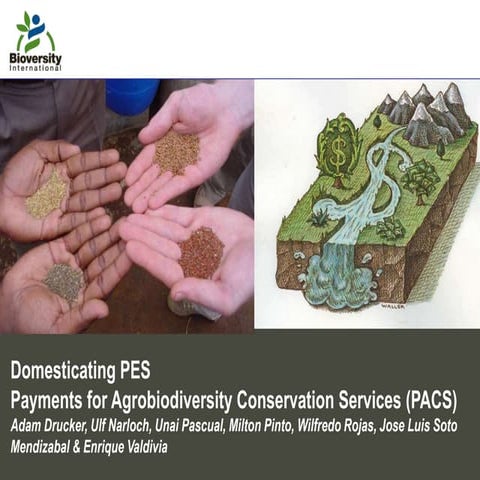 Payments for Agrobiodiversity Conservation Services: Towards an ...