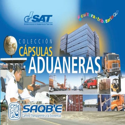 SAT - Aduana | PDF