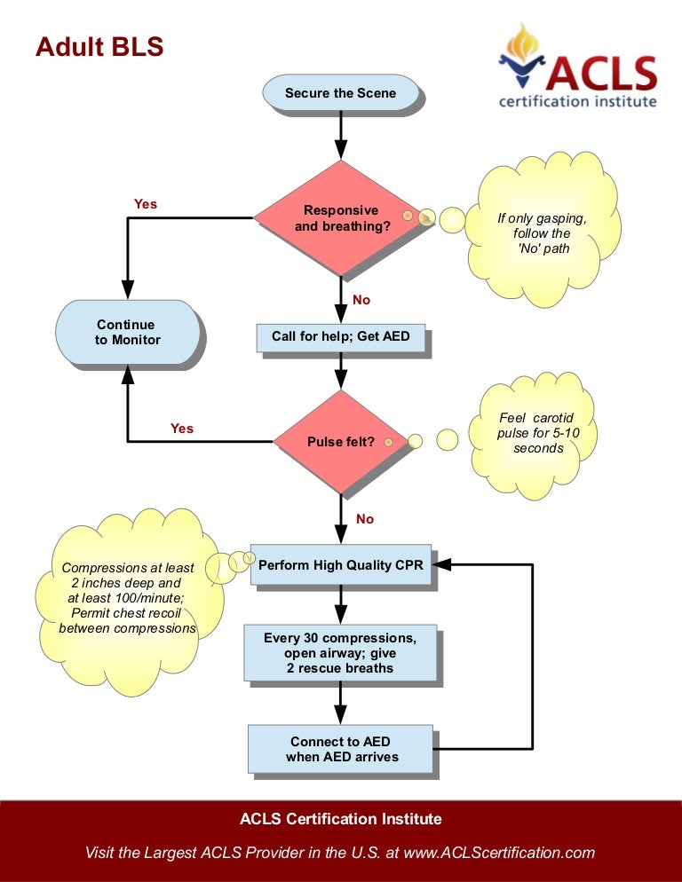Adult BLS for Healthcare Providers Algorithm