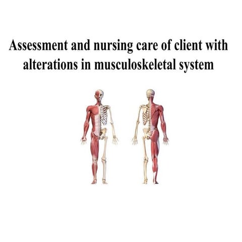 Musculoskeletal nursing | PDF