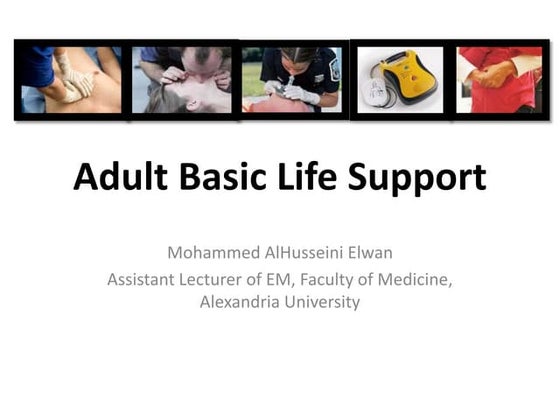 basiclife support for from UK Council.pdf