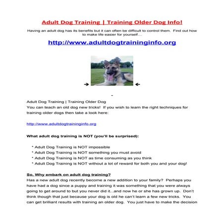 Adult dog training | PDF