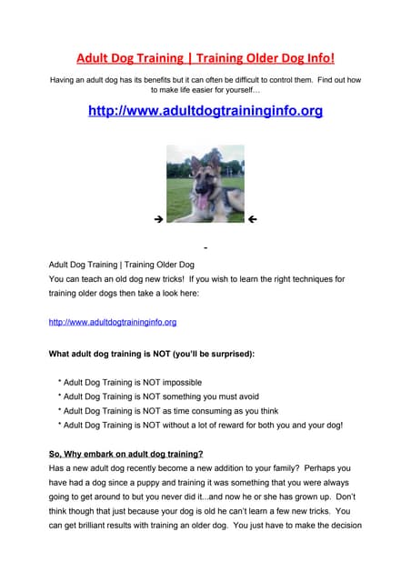 Dog Training.pdf