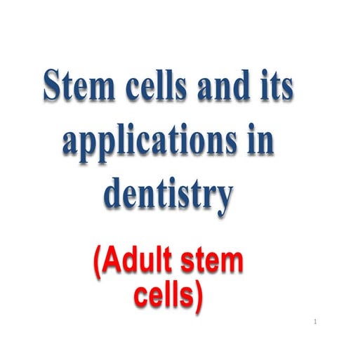 adult stem cells-1.pptx