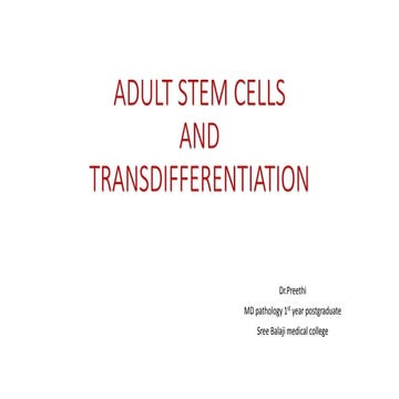 Adult stem cells.pptx