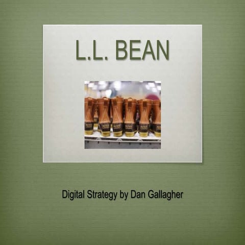 L.L. Bean Consumer Behavior Analysis | PDF
