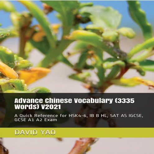 Advance Chinese Vocabulary (3335 Words) V2021 国际中文考试高级词汇 sample | PDF ...