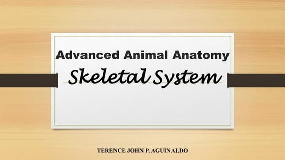 overview-of-the-beef-cattle-industry.pptx | Agriculture | Industries