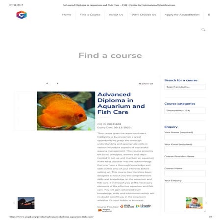 Avalon CL transducer | PDF