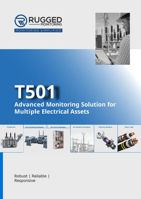 Continuous High Frequency Partial Discharge Monitor | HPM601-C | Rugged Monitoring | PDF
