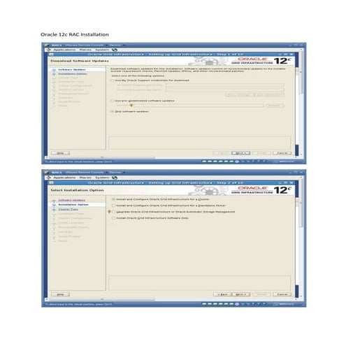 Advanced Installation 12c Rac Pdf