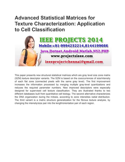 Advanced Statistical Matrices For Texture Characterization Application