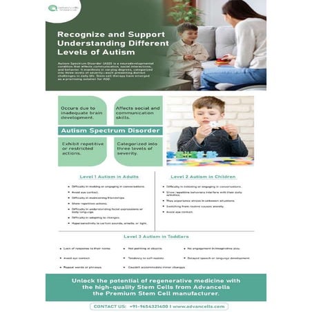 Recognize and Support: Understanding Different Levels of Autism | PDF