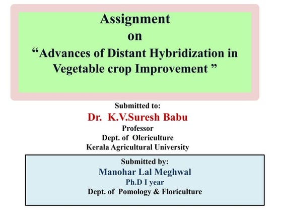 Hybridization Techniques in Crop Improvement | PDF