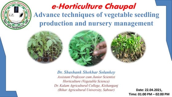 P1 nursery raising in vegetables | PDF