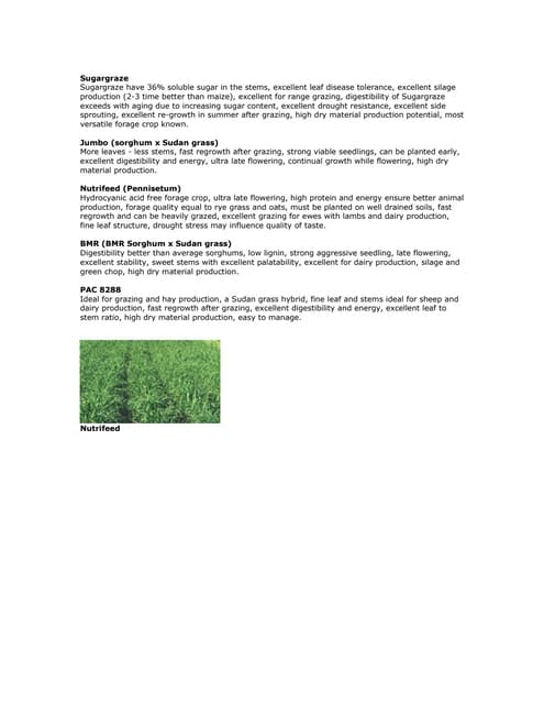 Fodder crops | PPTX | Agriculture | Industries