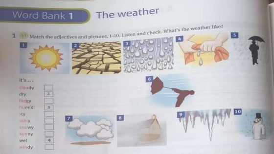 Grade 6-english-reading-recognizing-correct-syllabication-of-words | PDF