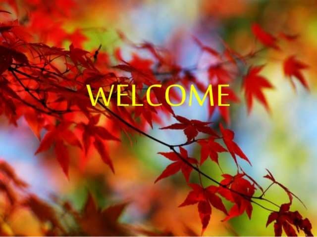 Adverse drug reactions | PPTX