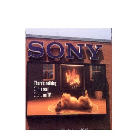 Culture Jamming | PPT