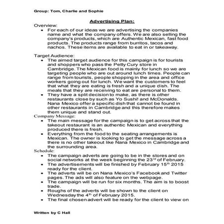 Advertising plan | DOCX