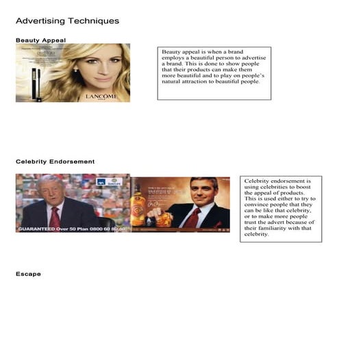 Advertising techniques | DOC