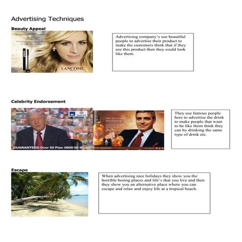Advertising techniques | PDF