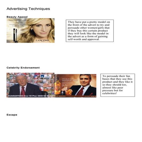 Advertising techniques | PDF