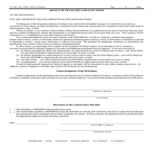 Advice of Penalties and Sanctions RE Release.pdf