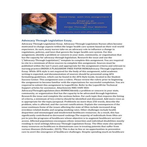 Advocacy Through Legislation Essay Example Paper.docx