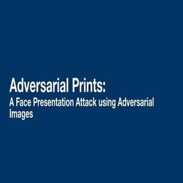 Presentation about adversarial image attacks | PDF