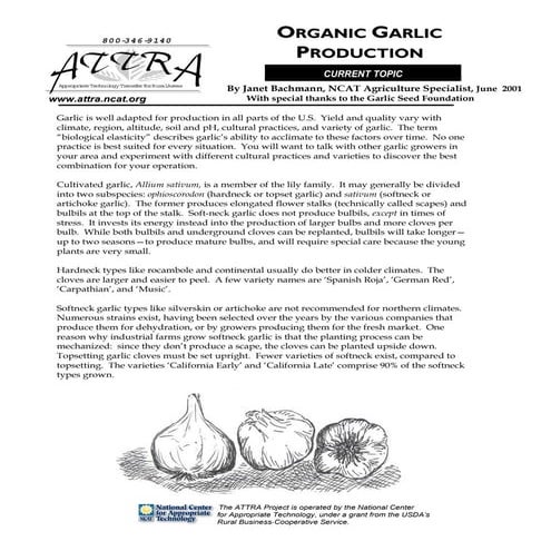 Organic Garlic Production | PDF