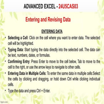 Entering data and Revising data in Excel | PPTX