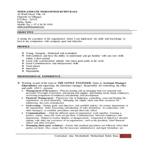 Mohammed Rubin Raza cv | DOCX
