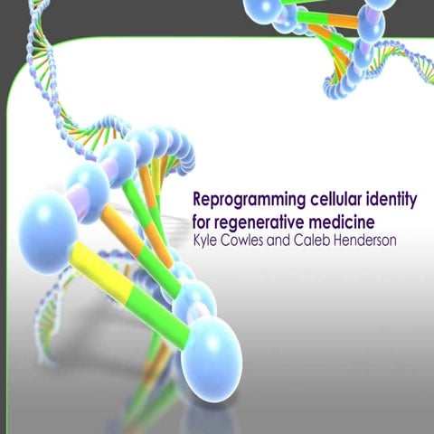 Reprogramming cellular identity | PPT