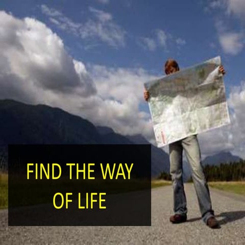 Find The Way of Life | PDF
