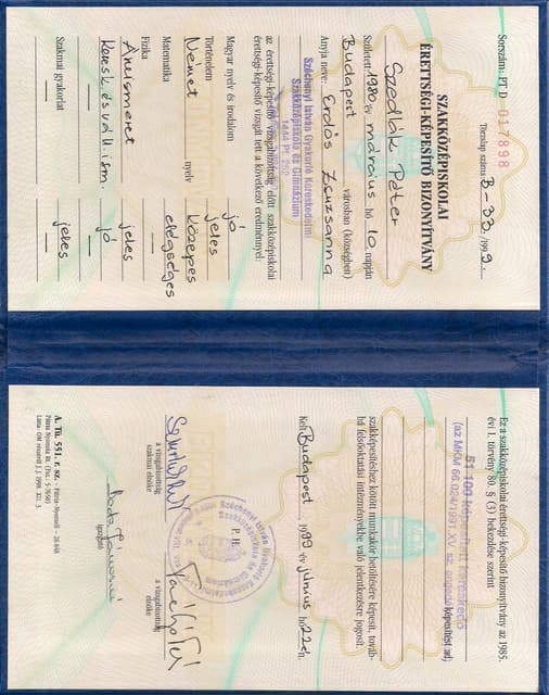DEGREE Certificate | PDF