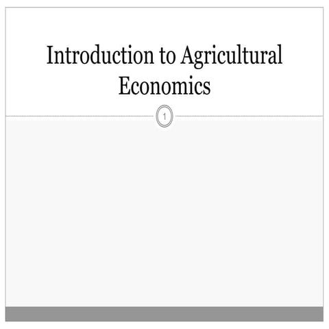 Economics lesson plan for seniors | PPTX