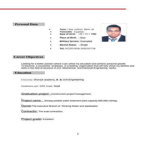 elsayed cv last | PDF