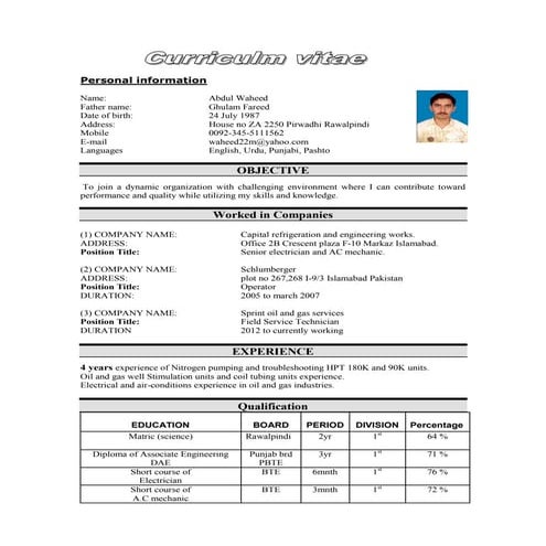 Waheed CV N2 | PDF