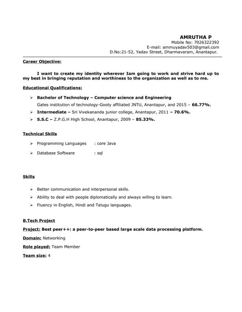 Michael's Resume | PDF