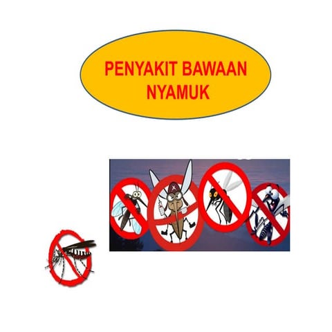 Aedes mosquito causing dengue fever.pptx