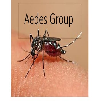 Aedes Group (28.5.2018) to (3.6.18).pptx