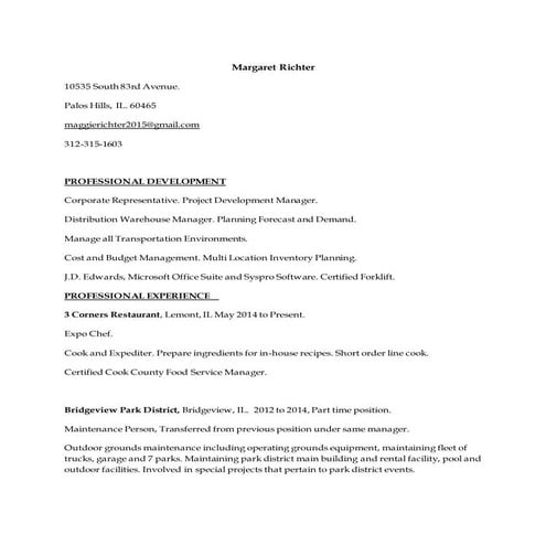 curriculum Alejandro Torres (ingles) | DOCX