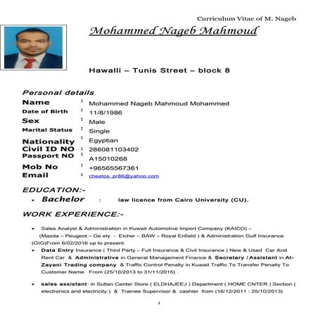 mohammed cv | PDF