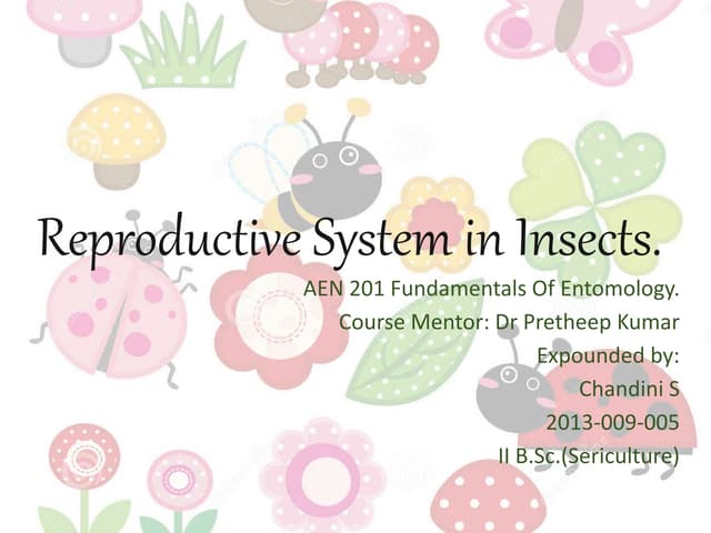 Reproductive system of insects | PPTX