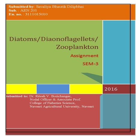 Diatoms - Diaonoflagellets | PDF